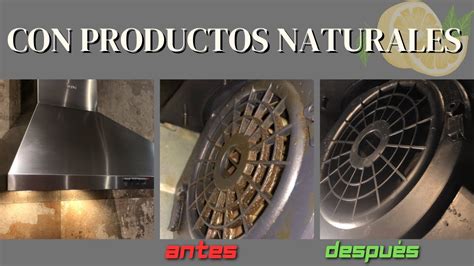 Aprende a limpiar el extractor de la cocina de manera fácil y efectiva