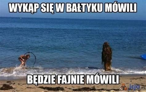 Wakacje Memy Najlepsze Memy I Zabawne Obrazki Z Wakacjami I Urlopem W