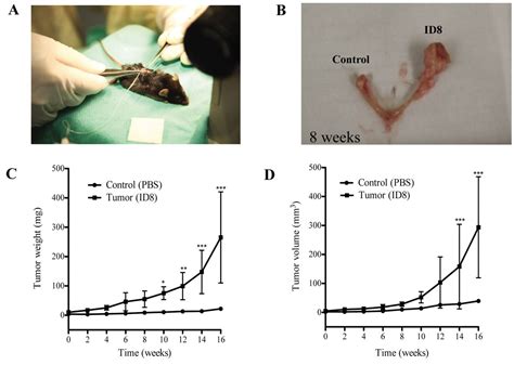 Characterization And Evaluation Of Pre Clinical Suitability Of A