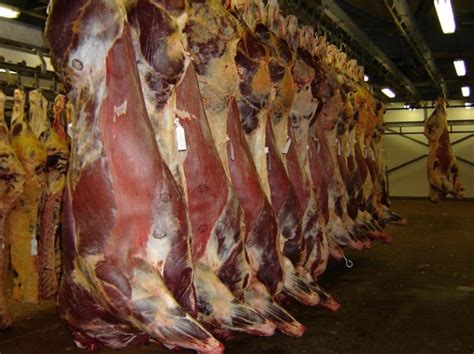 La viande bovine ses caractéristiques et ses découpes Cuisine Passion