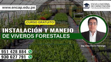 CURSO INSTALACIÓN Y MANEJO DE VIVEROS FORESTALES 2023 YouTube