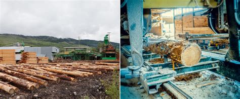 Aserraderos de madera en España Maderea
