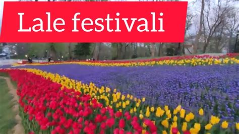 tulip festival turkey İstanbul Emirgan korusu Lale festivali 2024