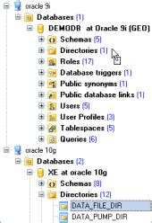 Oracle Database Administration Tools Database Processing
