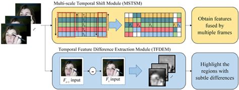 action recognition using multi scale temporal shift module and temporal feature difference
