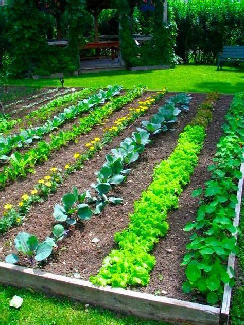 Vegetable Spacing Guide Artofit