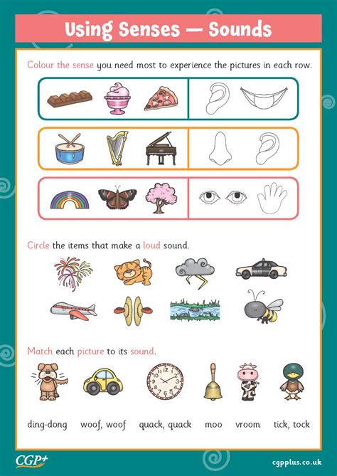 Free Printable Grade Loud And Soft Sounds Worksheets 46 OFF