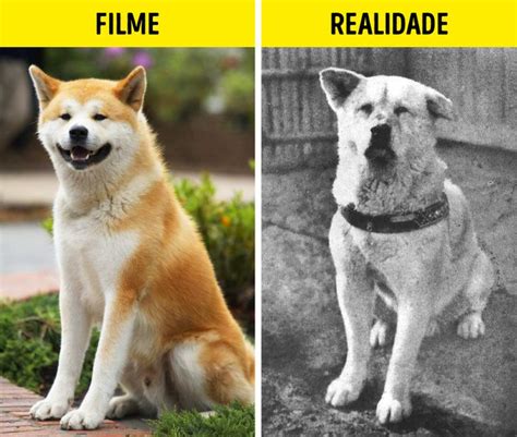 A verdadeira história por trás do filme Sempre ao Seu Lado Incrível