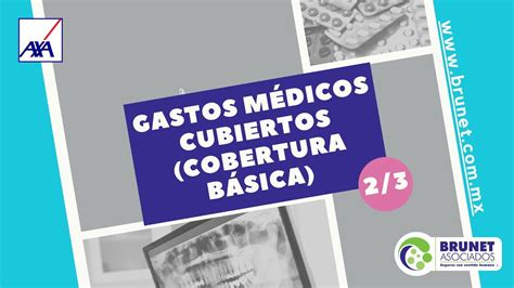 9 Cobertura Básica GMM Cubiertos 2de3 Flex Plus 2022 Brunet