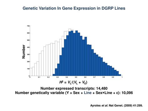 ppt genetic architecture of quantitative traits lessons from drosophila powerpoint