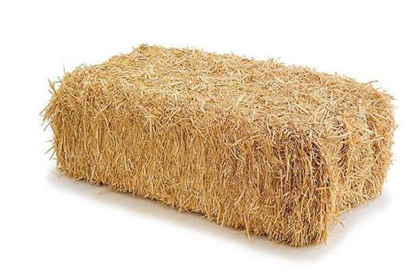 Paille En Botte Maison Gallo