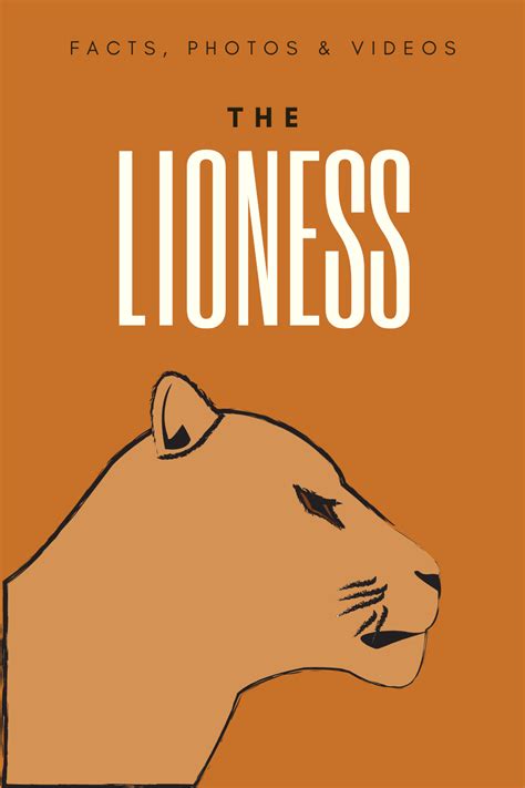 A Female Lion Lioness Is A Symbol Of Strength And Rightfully So And Although Lions Are Much