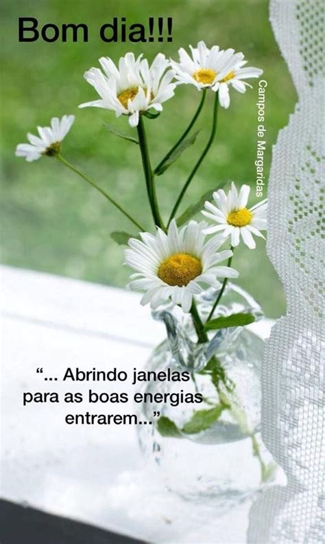 Bom Dia Fam Lia Frases E Mensagens Para Cultivar O Amor E A Uni O