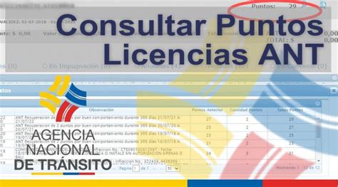 Licencia de Conducir Portal de Tránsito Ecuador