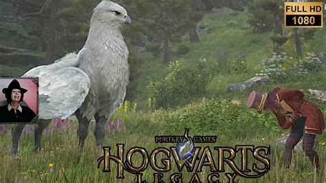 Hogwarts Legacy 20 Phantastische Tierwesen Und Wo Man Sie Finden Kann