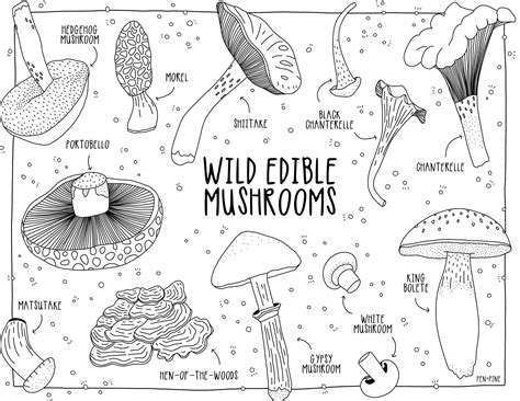 Mushroom Printable Coloring Pages