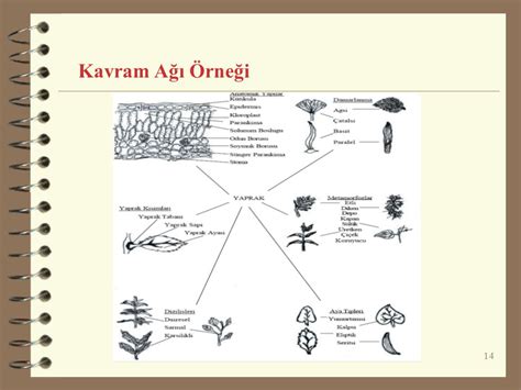 Fen E T M Nde Kavram Ret M Ppt Video Online Indir