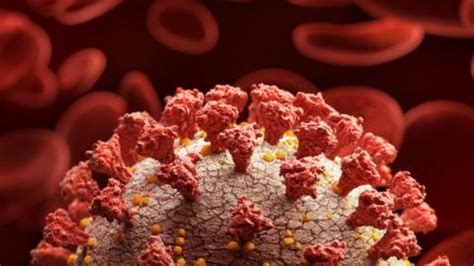 Coronavirus Est Il Possible De Contracter Le Coronavirus Et De Le