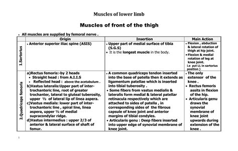 Muscles Of Lower Limb Doc Docdroid