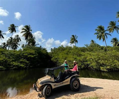 O Que Fazer Em Maragogi Melhores Passeios E Praias Para Ir