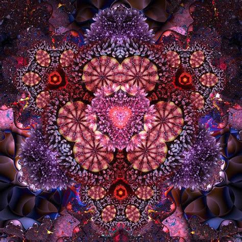 discover the beauty of fractals