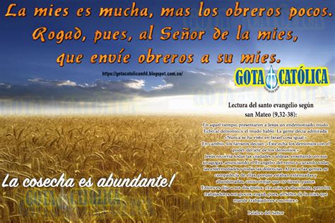 Gota Cat Lica Gotas De Dios Lecturas Del Martes De La Semana Del