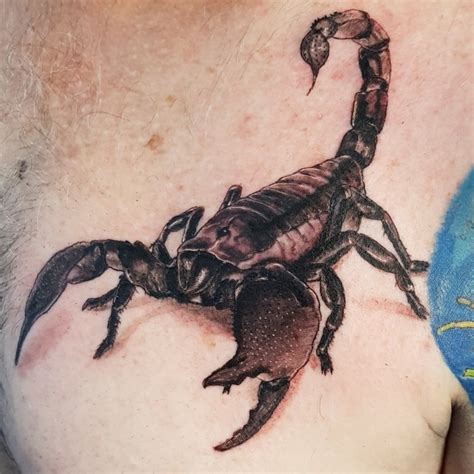 Top 79 Realistic Scorpion Tattoo Best In Coedo Vn