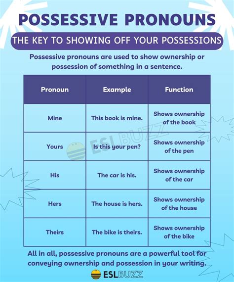 Mastering Possessive Pronouns A Simple Guide ESLBUZZ