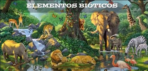 TOMi Digital Ecosistemas