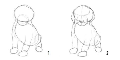 Disegni Da Copiare A Matita Facili Immagini Di Squali Disegnare