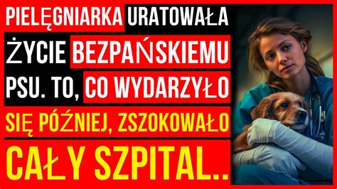 Piel Gniarka Uratowa A Ycie Psu Na Ulicy Ale Spos B W Jaki Pies Jej