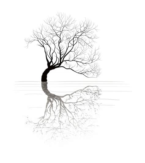 Árbol de inclinación reflejado en el agua Vector Premium