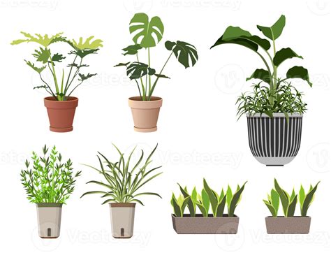 Plantas En Macetas Caseras Png