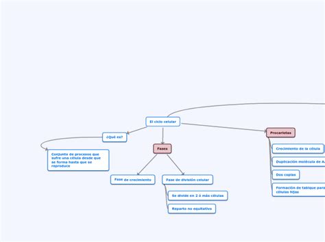 El Ciclo Celular Mind Map