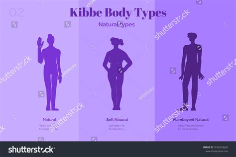 Three Natural Kibbe Female Body Types Stock Vector Royalty Free