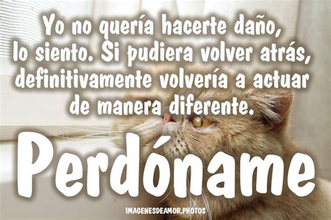 Imágenes Postales para Pedir Perdón Pedir disculpas es muy difícil