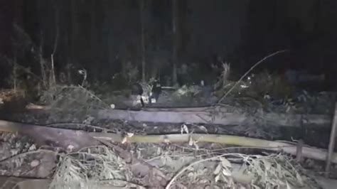 Idoso morre ao cortar árvore em área rural de Cascavel CGN O maior