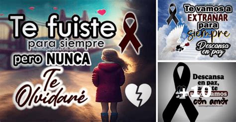 10 Imágenes de Luto NUNCA Te Olvidaré Siempre Te Extrañaré