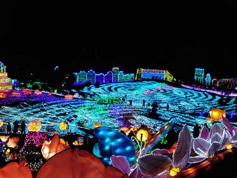 さいたま新都心発今こそしずおか元気旅適用 体験型イルミネーション 伊豆高原グランイルミ海鮮浜焼食べ放題日帰り7 500円 三世代旅行