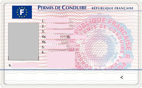 Arriba Imagen Carte De Permis De Conduire Fr Thptnganamst Edu Vn