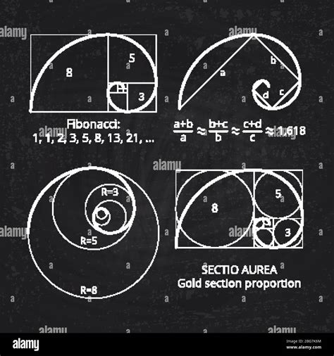 scheme of golden ratio section fibonacci spiral on blackboard vector illustration geometric