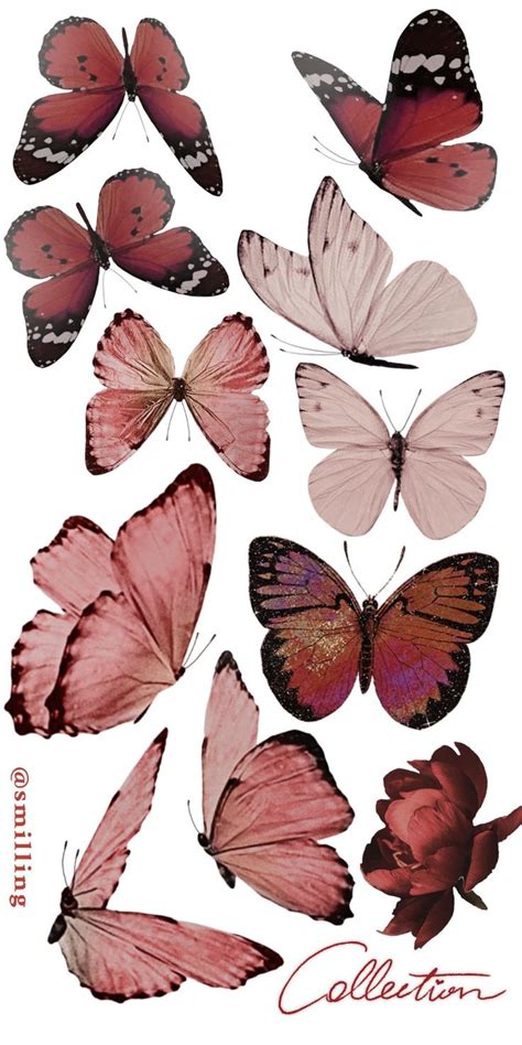 Sticker bươm bướm Vintage Decor Bulletjounal trong 2024 Bươm bướm