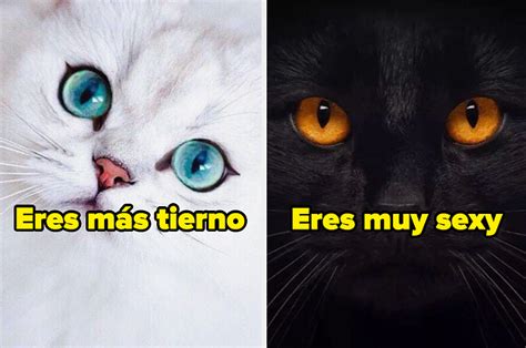 Test de personalidad qué animal eres