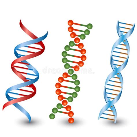 Dna Helix Stock Vector Illustration Of Helix Genomes