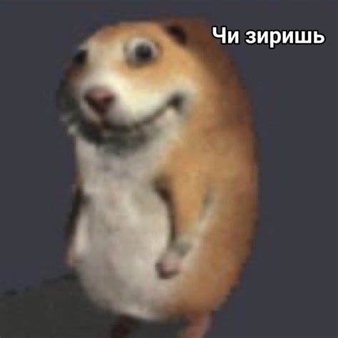 Pin on мемчики