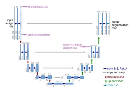 语义分割网络 u net 详解 知乎