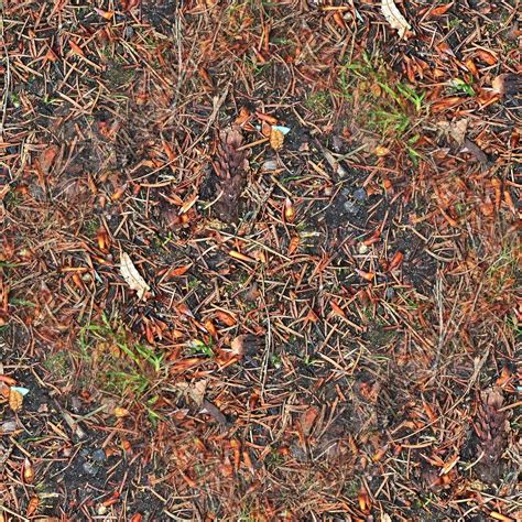 Forest Floor Texture Seamless
