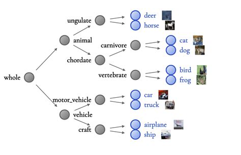 making decision trees accurate again explaining what explainable ai did not the berkeley