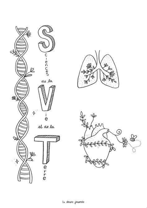 Page De Garde SVT Sciences De La Vie Et De La Terre Illustration