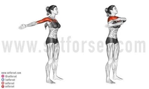 Best Deltoid Stretches Front Side Rear Delts Artofit